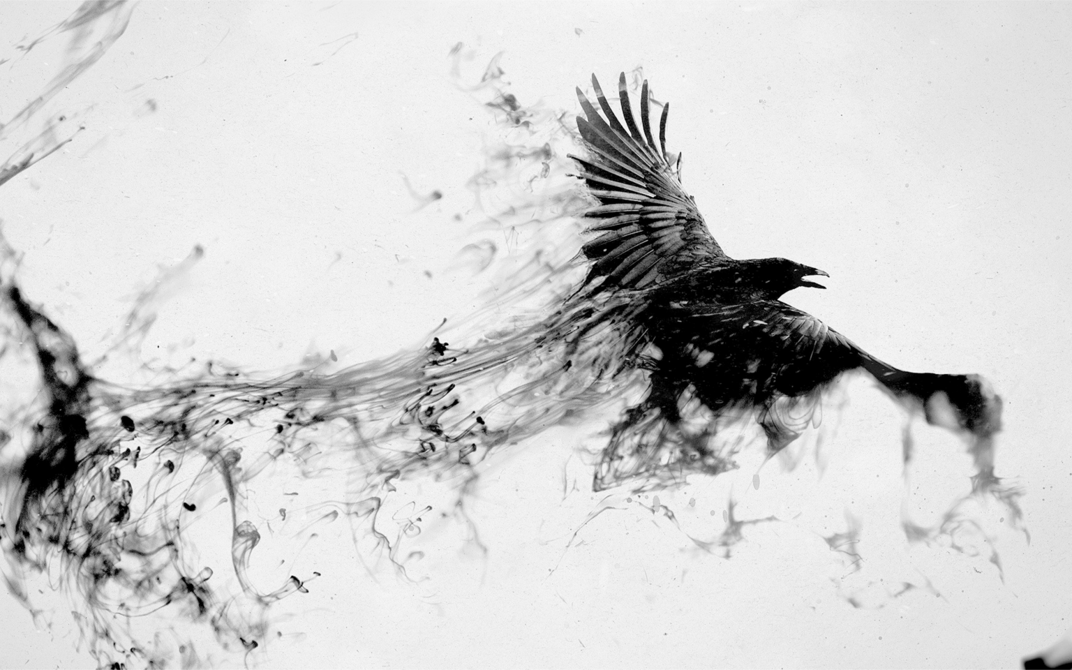 Voyage avec le Corbeau | Conscience et Réalités
